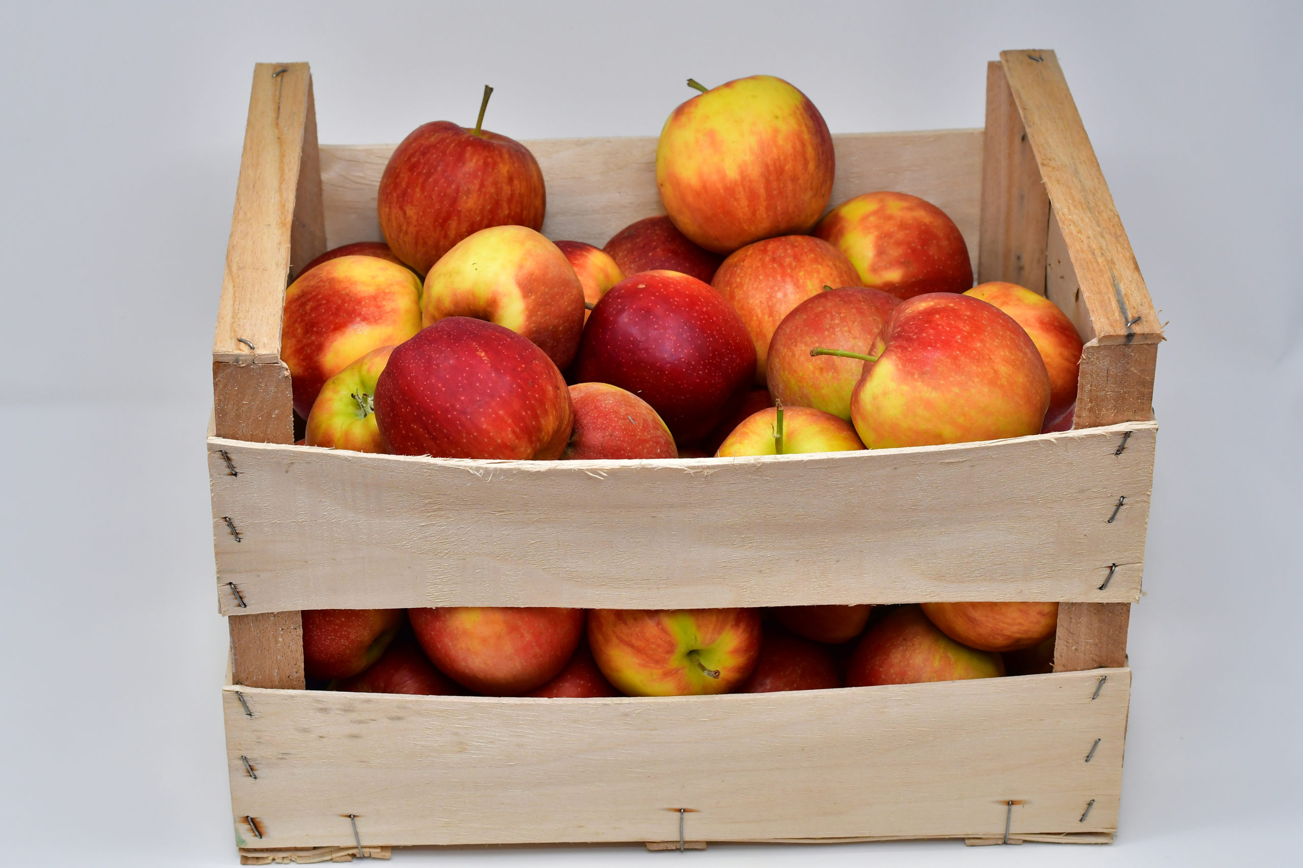Obstbauer Jülg – Frisches Obst von Ihrem Bauer – direkt vom Erzeuger.